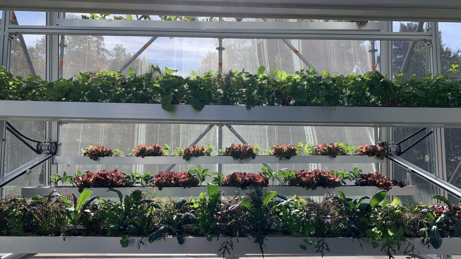 upfarming – participatory urban farming