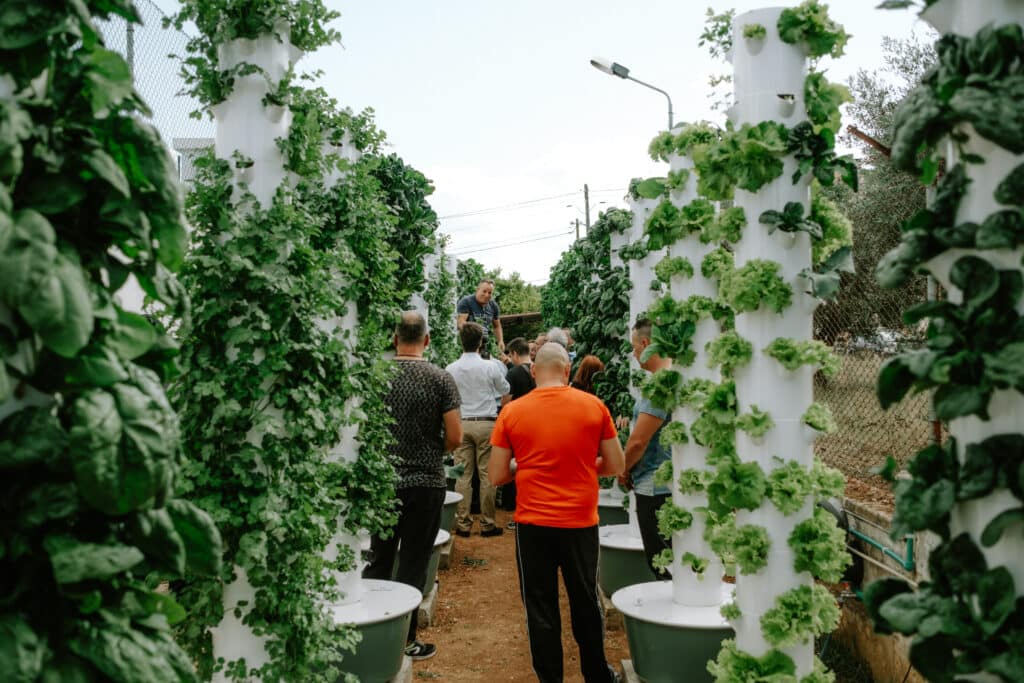 upfarming – participatory urban farming
